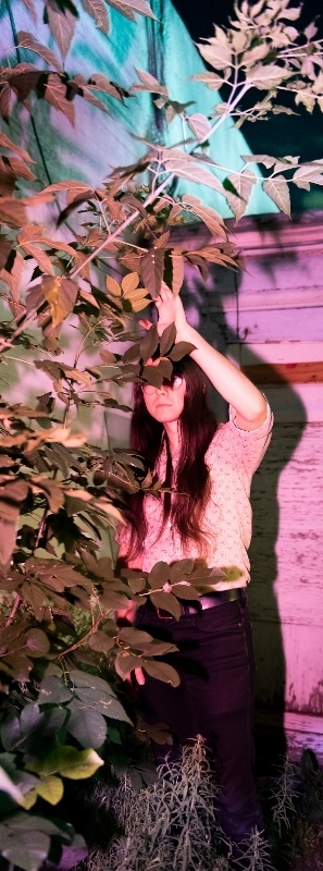 Matthew Cardinal’s Asterisms | Musicworks magazine