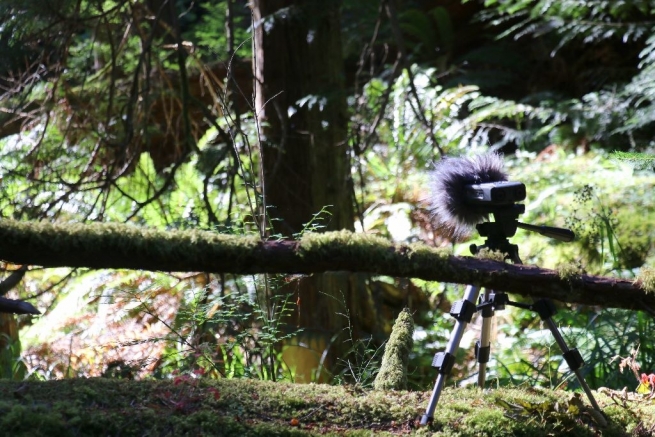 Julie Andreyev and Simon Lysander Overstall’s Biophilia | Musicworks ...